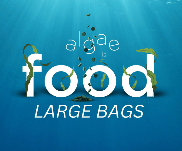 ENERGYBITS | Large Algae Bag Collection – ENERGYbits