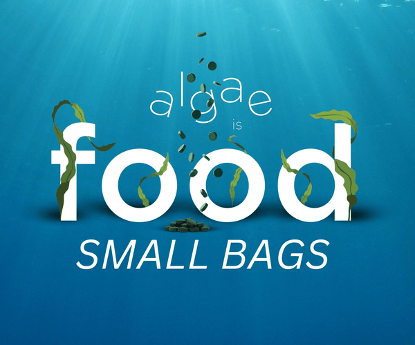 ENERGYbits | Small Algae Bags