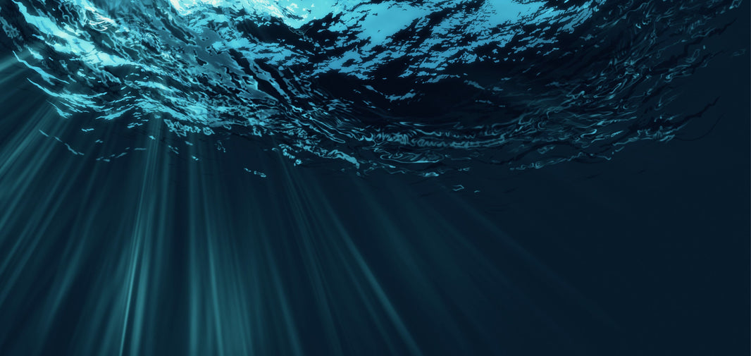 How Does Spirulina Increase Energy Levels? The Science Explained ...