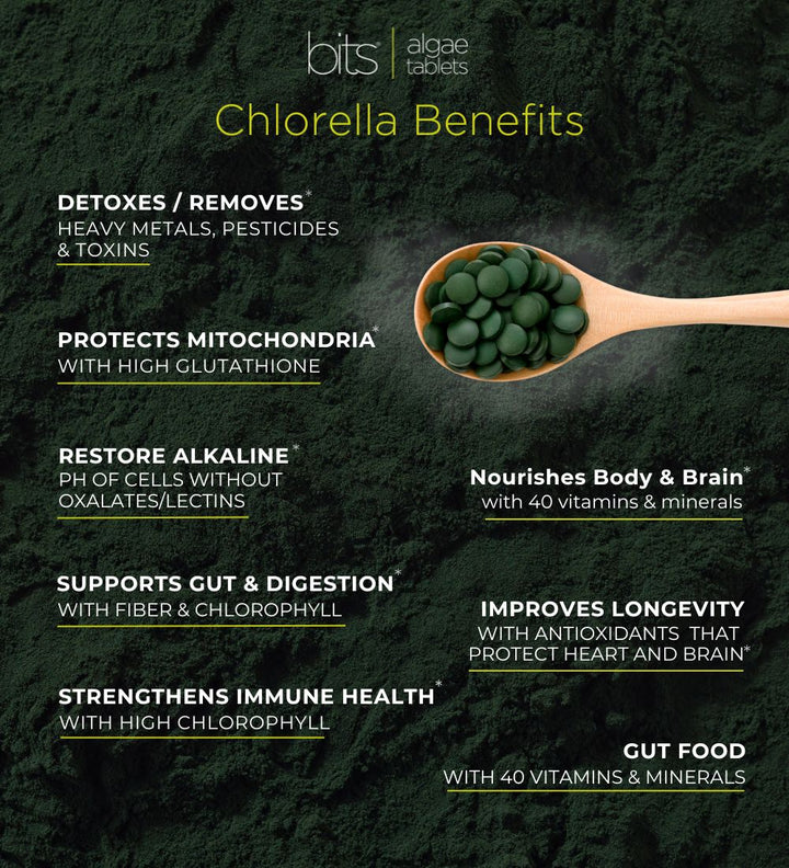 Chlorella Tablets | Organic Chlorella Algae Small Bag | ENERGYbits®